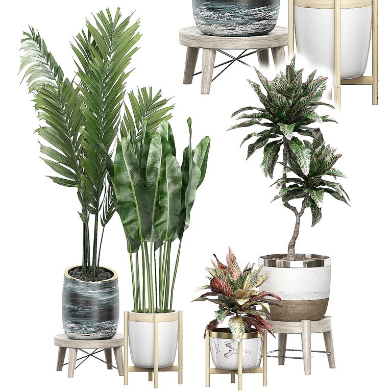 Potted plants Set 42 (114818) 3D model - Download 3D model Potted ...