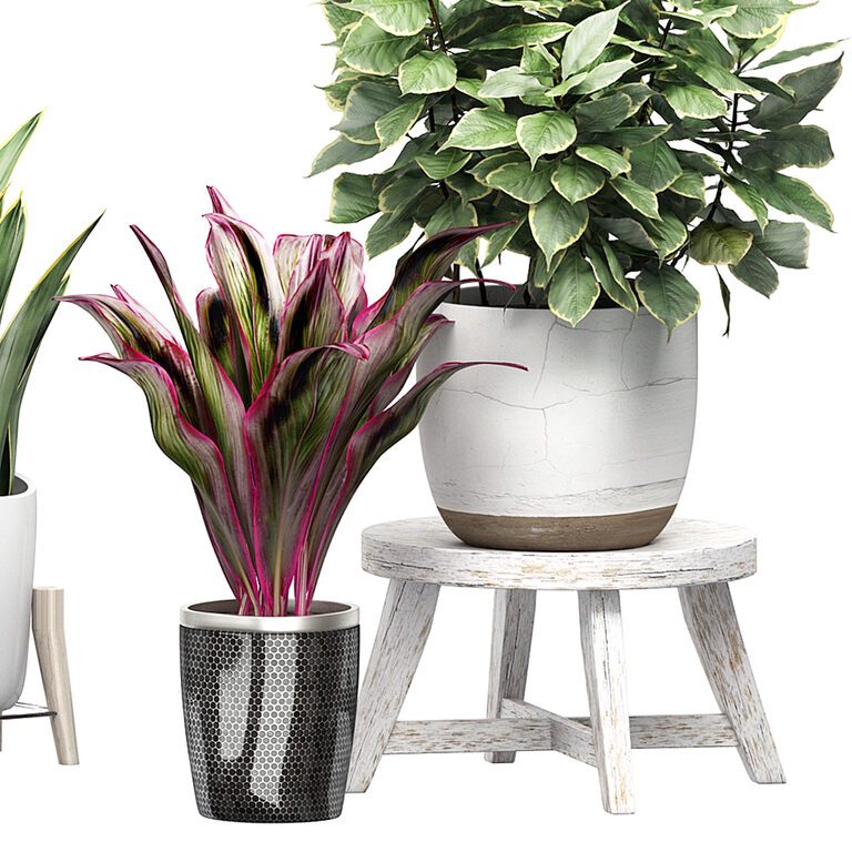Potted plants Set 46 (114808) 3D model - Download 3D model Potted ...