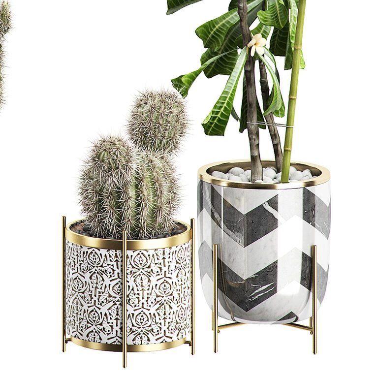 Potted plants Set 17 (114658) 3D model - Download 3D model Potted ...