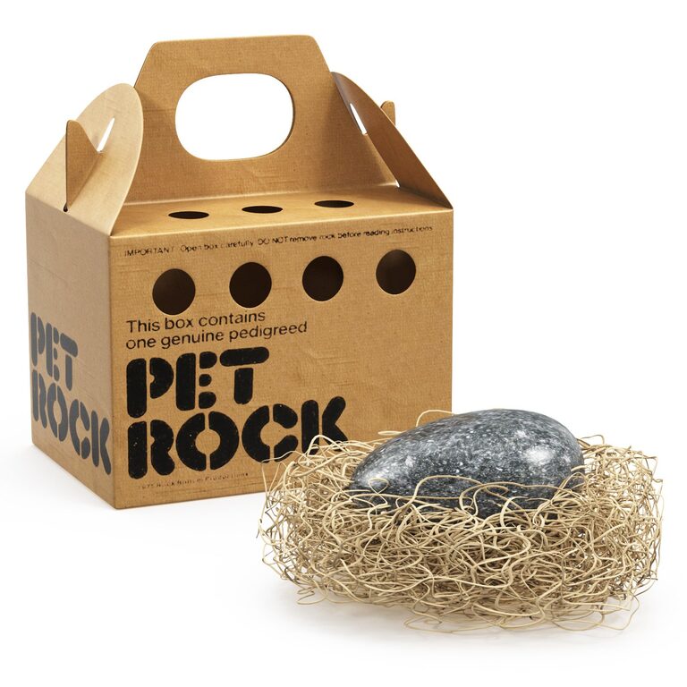 The Pet rock (112494) 3D model - Download 3D model The Pet rock (112494 ...