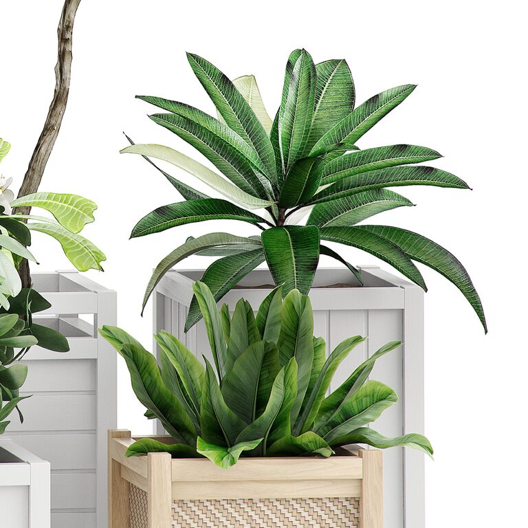 Potted plants 117 (115056) 3D model - Download 3D model Potted plants ...