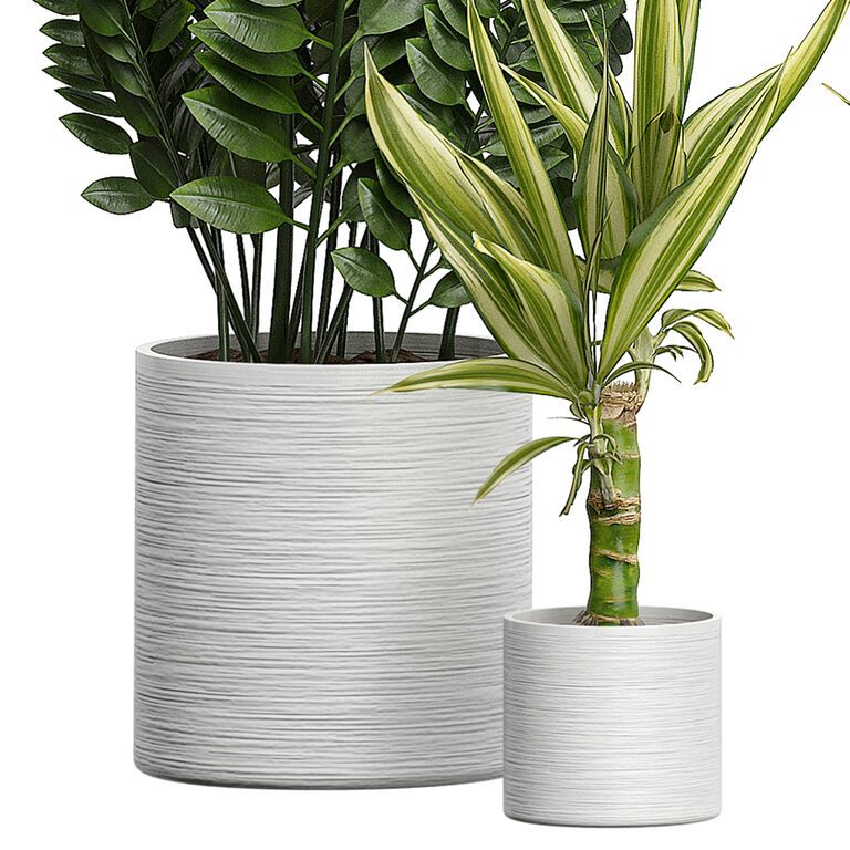 Potted plants Set 49 (114811) 3D model - Download 3D model Potted ...