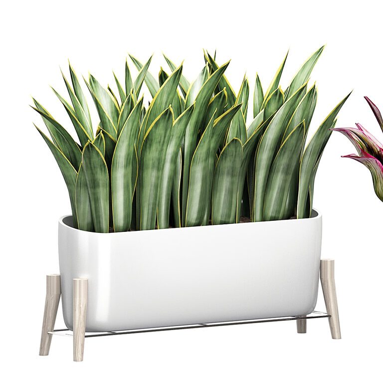 Potted plants Set 46 (114808) 3D model - Download 3D model Potted ...
