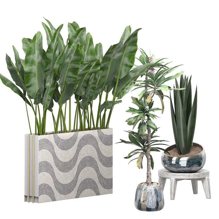 Potted plants Set 48 (114810) 3D model - Download 3D model Potted ...