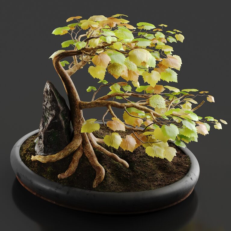 Bonsai No1 Sycamore (106924) 3D model - Download 3D model Bonsai No1 ...