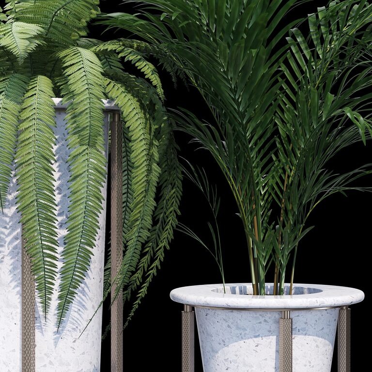 Accra Cachepot Plants in pots (119875) 3D model - Download 3D model ...