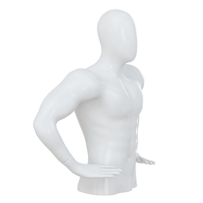 White torso male mannequin 86 (121171) 3D model - Download 3D model ...