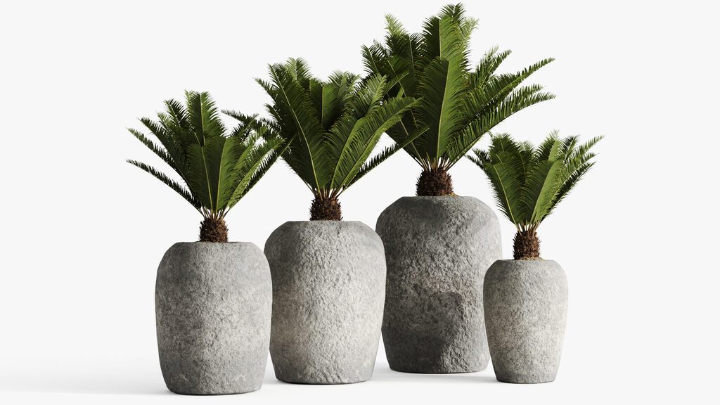 Restoration Hardware Cantera Planters With Sago Palm (123212) 3D model ...