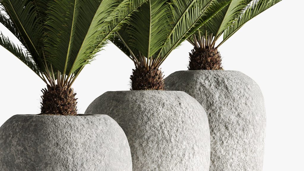 Restoration Hardware Cantera Planters With Sago Palm (123212) 3D model ...
