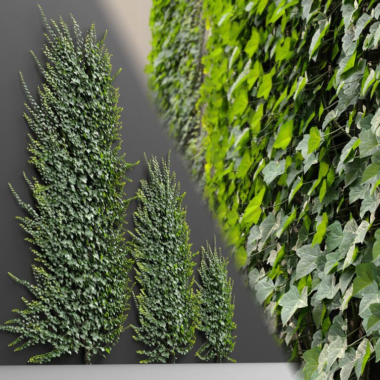 Ivy #2 (124808) 3D model - Download 3D model Ivy #2 (124808) | 124808 ...
