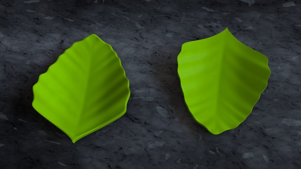 Dish leaf (125811) 3D model - Download 3D model Dish leaf (125811 ...