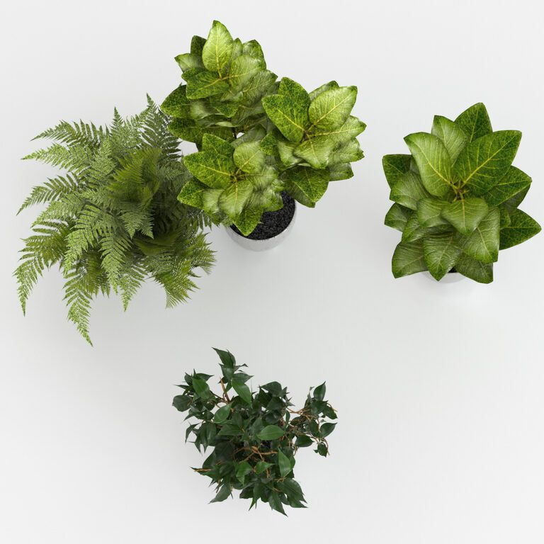 Houseplants set (126349) 3D model - Download 3D model Houseplants set ...