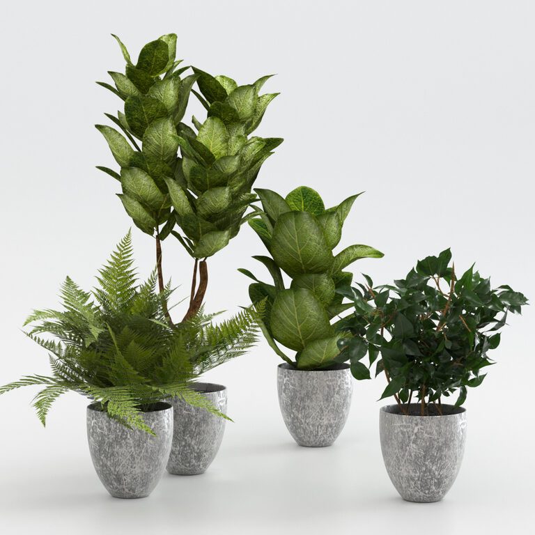 Houseplants set (126349) 3D model - Download 3D model Houseplants set ...