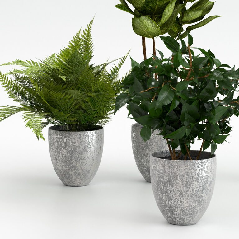 Houseplants set (126349) 3D model - Download 3D model Houseplants set ...