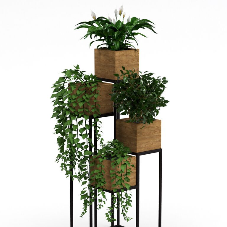 Houseplants set (126350) 3D model - Download 3D model Houseplants set ...