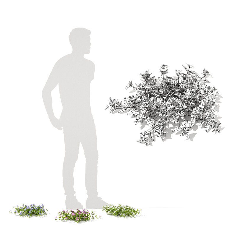 Vinca minor Periwinkle small bushes (127069) 3D model - Download 3D ...