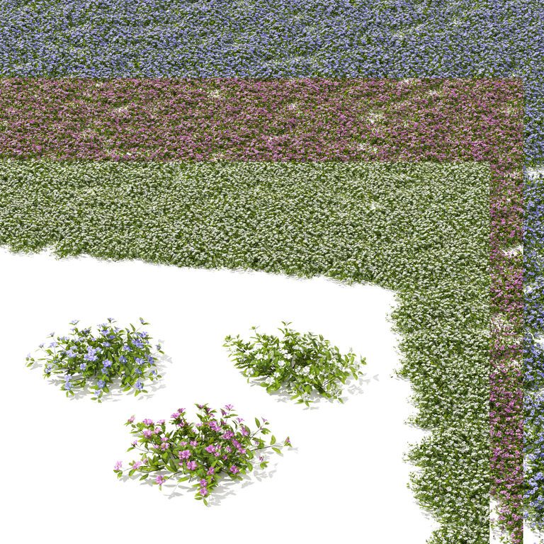 Vinca minor Periwinkle small bushes (127069) 3D model - Download 3D ...