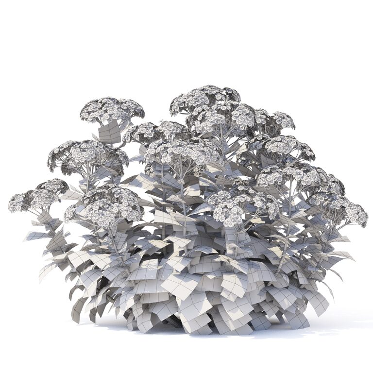 Sedum telephium matrona flowers (127075) 3D model - Download 3D model ...