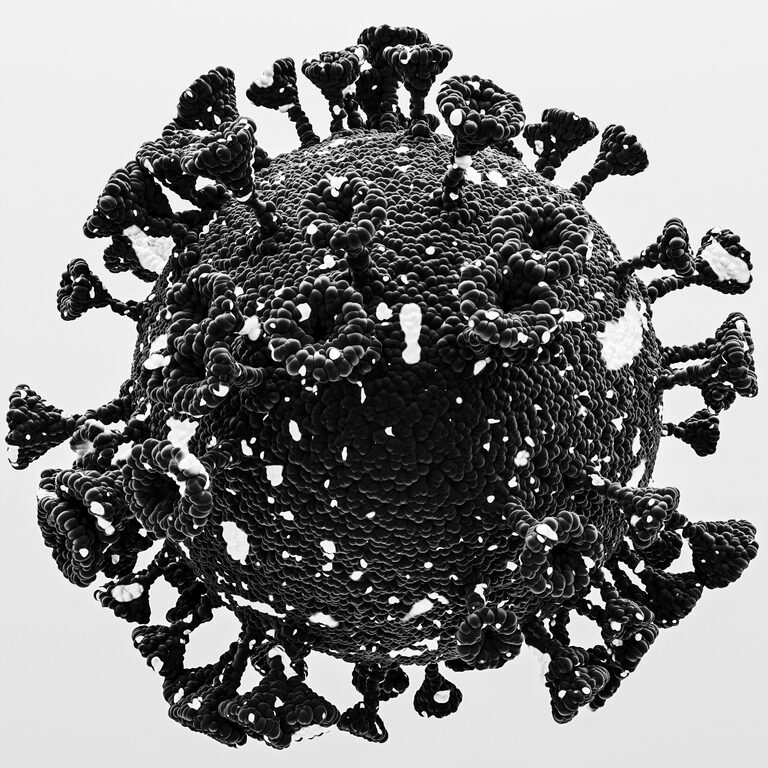 Virus 3D models - Download 3D models | 3d-baza.com