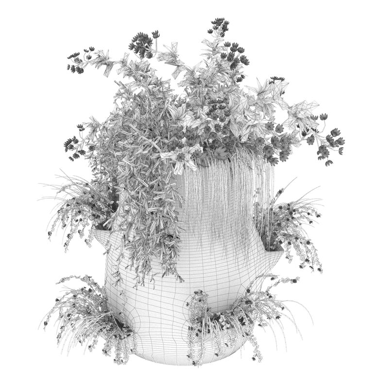 Collection plant vol 35 (132976) 3D model - Download 3D model ...