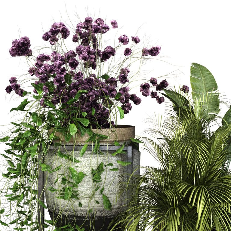 Plant set 052 (134616) 3D model - Download 3D model Plant set 052 ...