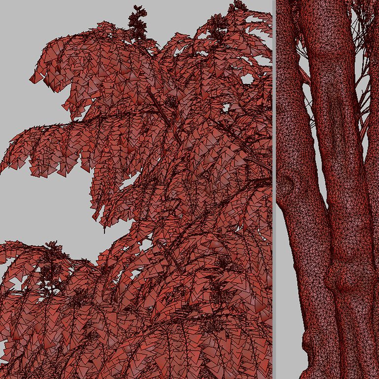 Set of Cassia javanica Tree (Pink shower) (2 Trees) (138643) 3D model ...