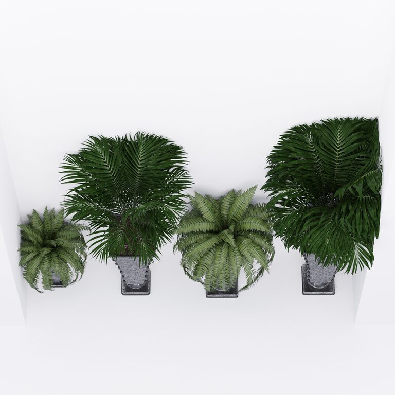 Plant Set (140687) 3D model - Download 3D model Plant Set (140687 ...