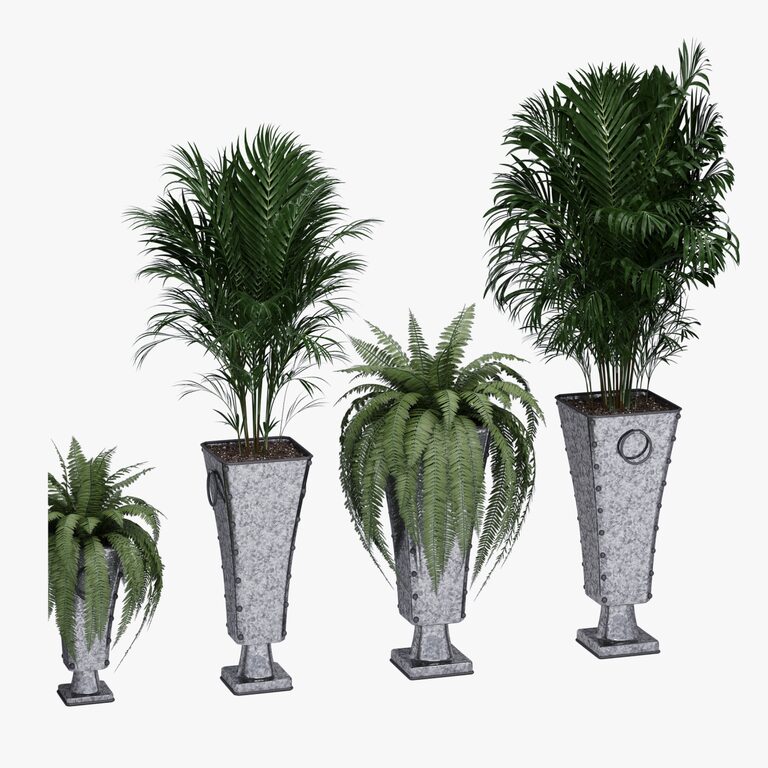 Plant Set (140687) 3D model - Download 3D model Plant Set (140687 ...