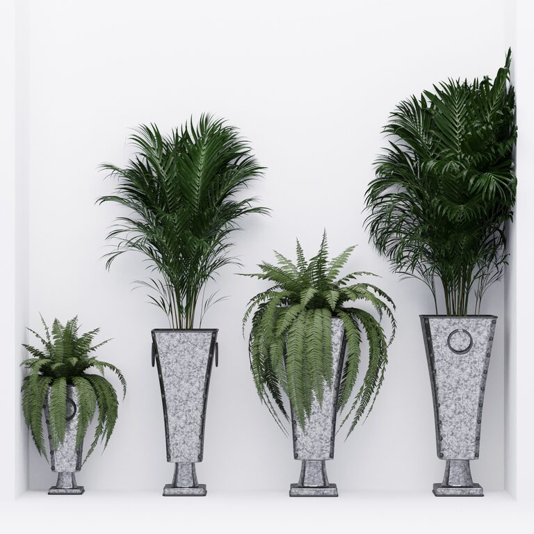 Plant Set (140687) 3D model - Download 3D model Plant Set (140687 ...