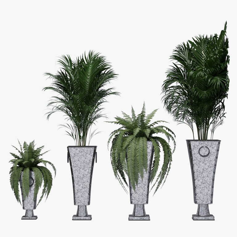 Plant Set (140687) 3D model - Download 3D model Plant Set (140687 ...