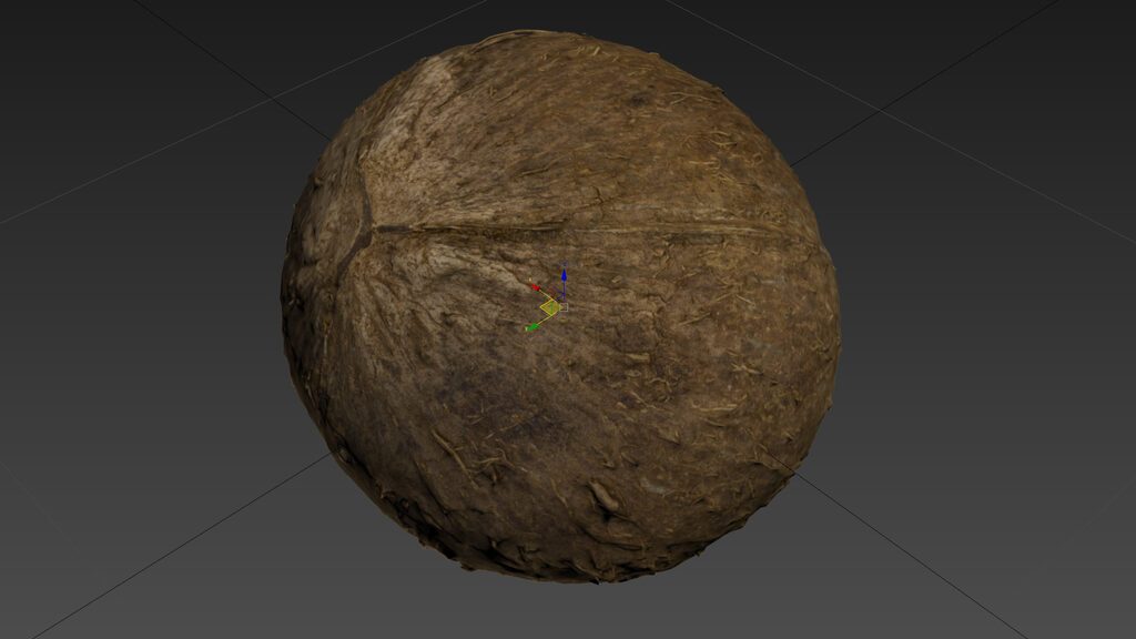 Coconut 4K (145739) 3D model - Download 3D model Coconut 4K (145739 ...