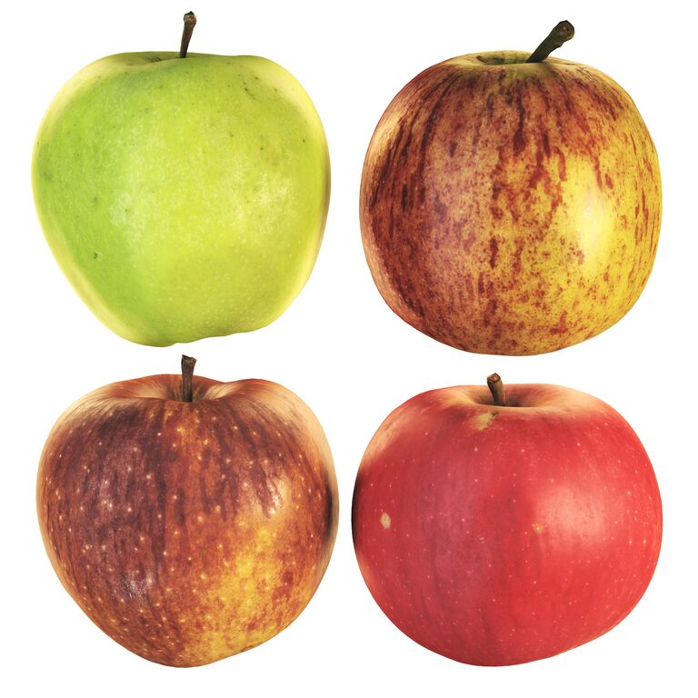 Apples 4k (145759) 3D model - Download 3D model Apples 4k (145759 ...