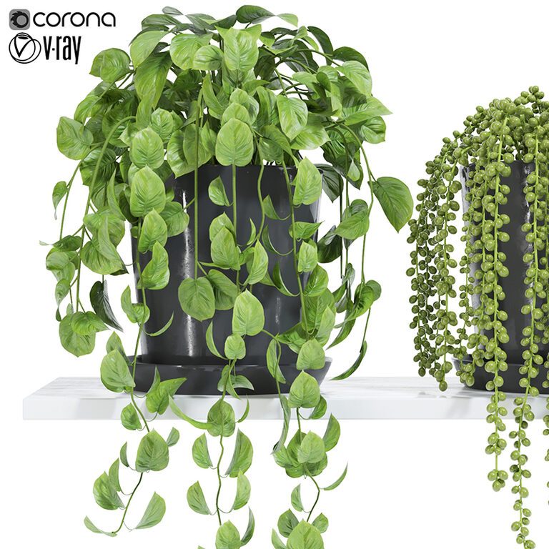Plant Set 05 (168674) 3D model - Download 3D model Plant Set 05 (168674 ...