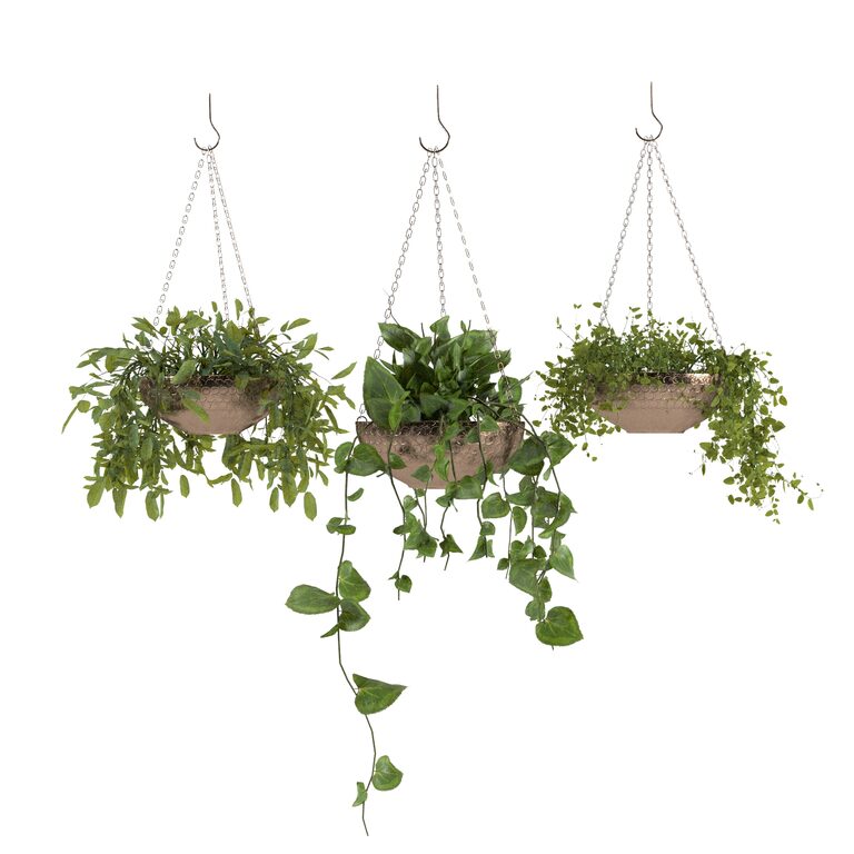 Hanging Plants 1 (170873) 3D model - Download 3D model Hanging Plants 1 ...