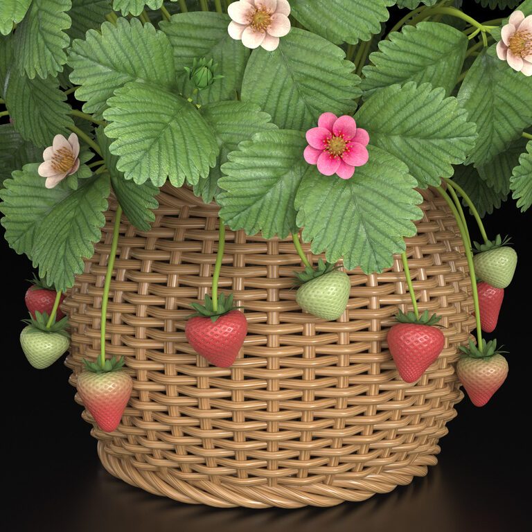 Indoor Strawberry Plant (176453) 3D model - Download 3D model Indoor ...