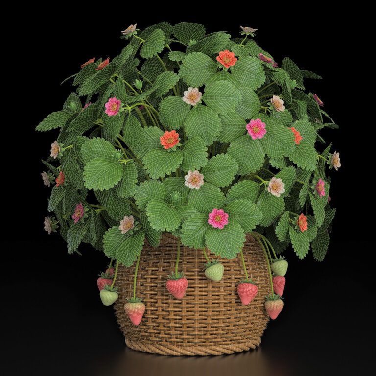 Indoor Strawberry Plant (176453) 3D model - Download 3D model Indoor ...