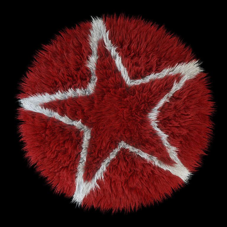 Round Rug Star (18172) 3D model - Download 3D model Round Rug Star ...