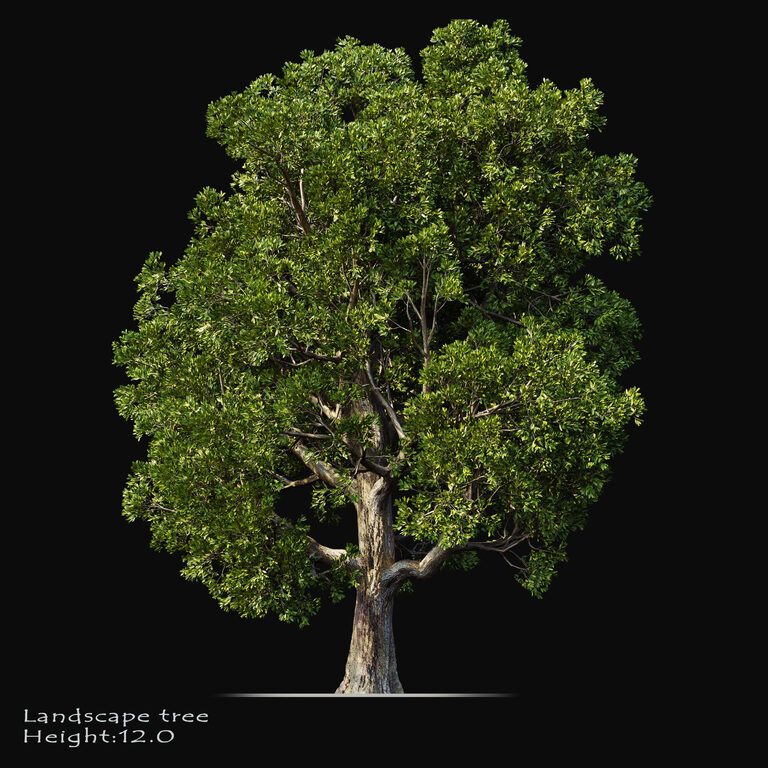 Big tree (186522) 3D model - Download 3D model Big tree (186522 ...