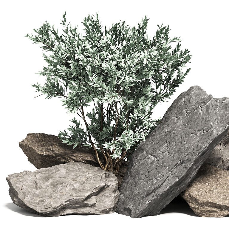 Stone Bush Pack 2 (186567) 3D model - Download 3D model Stone Bush Pack ...