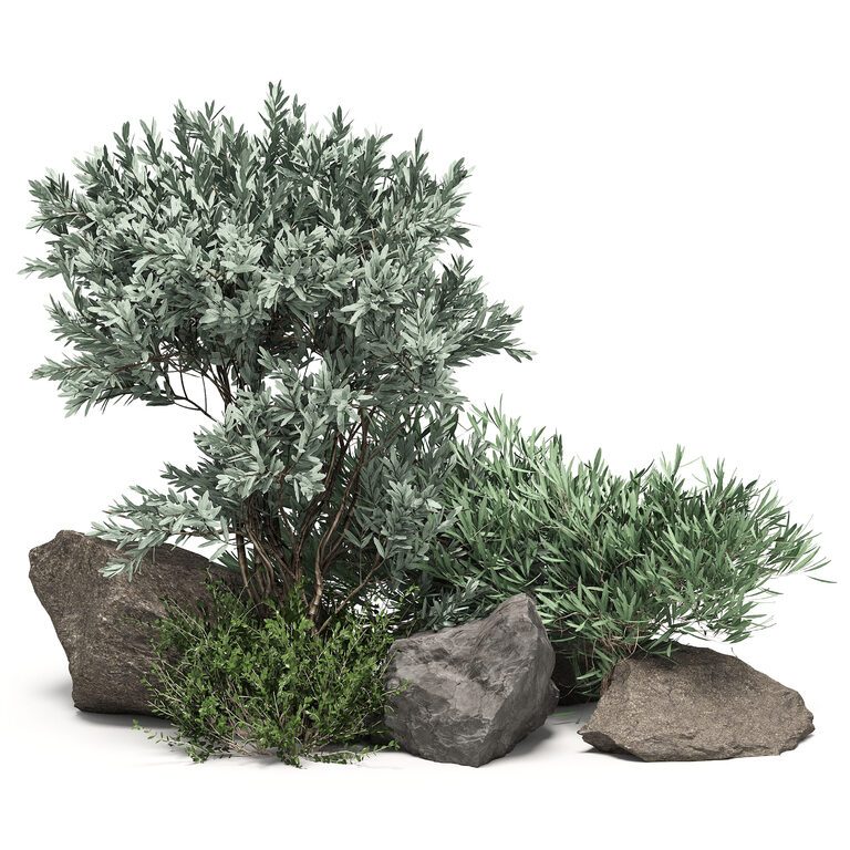 Plant Stones Pack 15 (186686) 3D model - Download 3D model Plant Stones ...