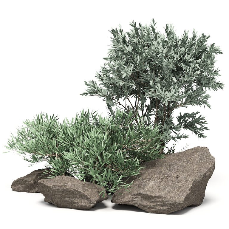 Plant Stones Pack 15 (186686) 3D model - Download 3D model Plant Stones ...