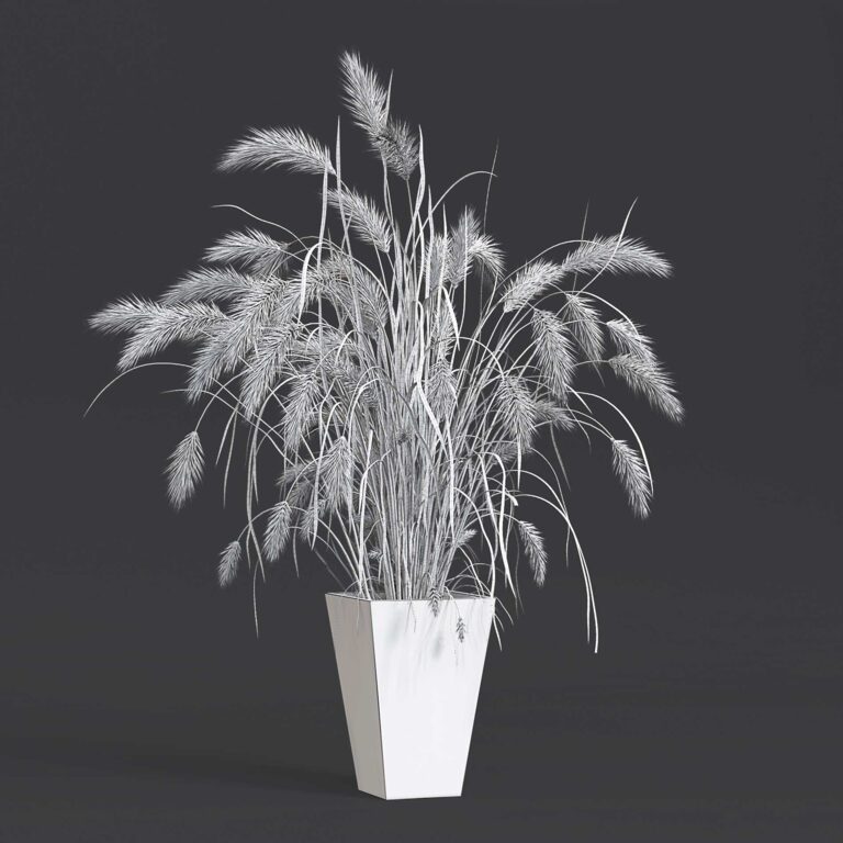 Dry Plant (210902) 3D model - Download 3D model Dry Plant (210902 ...