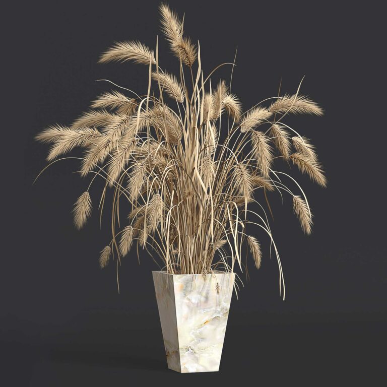 Dry Plant (210902) 3D model - Download 3D model Dry Plant (210902 ...