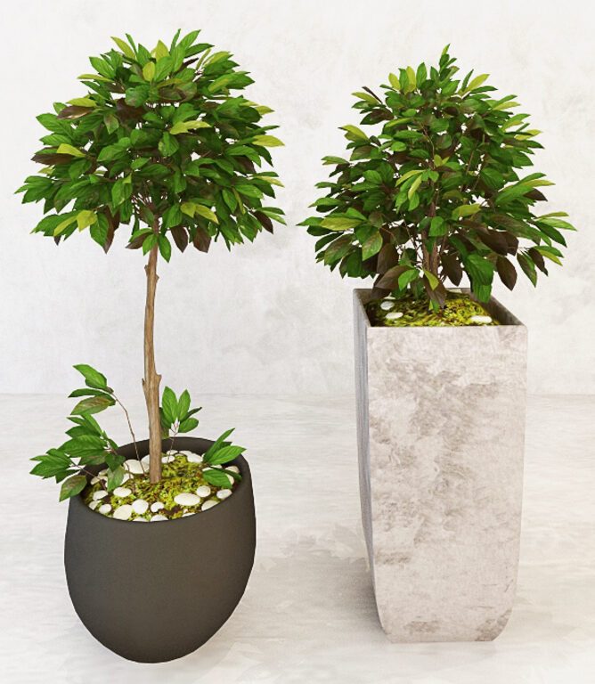 Potted Trees Set (22677) 3D model - Download 3D model Potted Trees Set ...