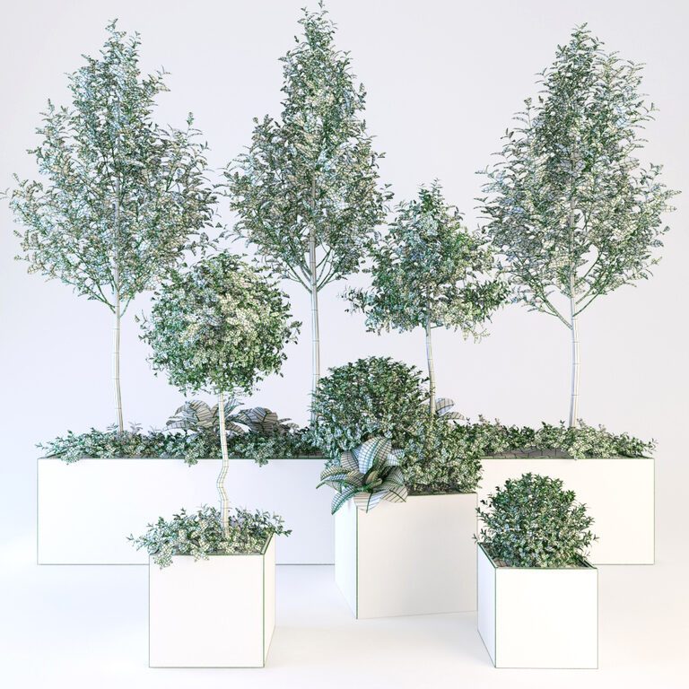 Potted Trees (24831) 3D model - Download 3D model Potted Trees (24831 ...
