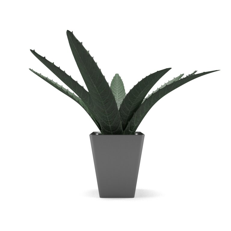 Aloe Flower (259070) 3D model - Download 3D model Aloe Flower (259070 ...