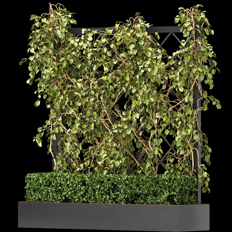 Climbing Plant Vertical Garden (300473) 3D model - Download 3D model ...