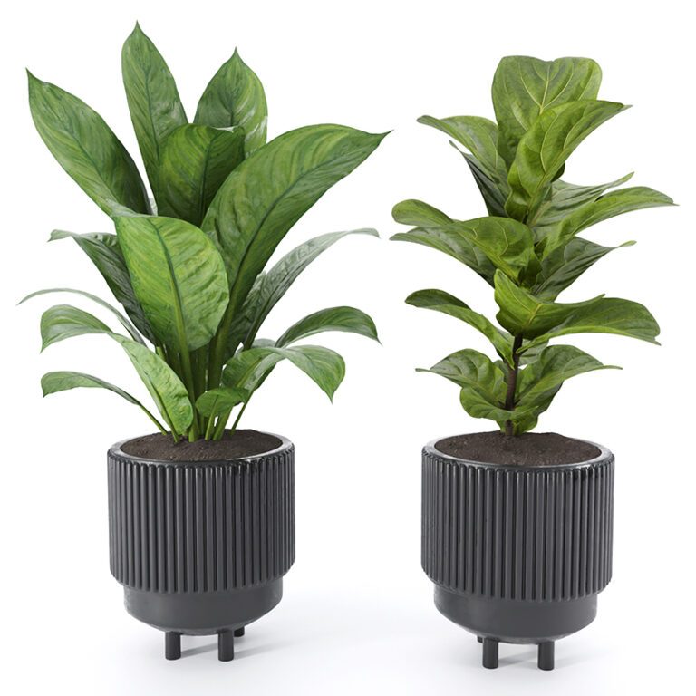 Plant set 10 (317542) 3D model - Download 3D model Plant set 10 (317542 ...