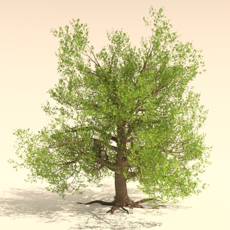 Red oak tree (317579) 3D model - Download 3D model Red oak tree (317579 ...