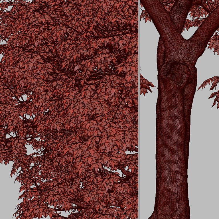 Set of Butternut Tree (Juglans cinerea) (2 Trees) (318762) 3D model ...